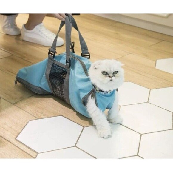 Hello Mow & Wow | Cat | Hello Mow Wow Pet Carrier Small Medium Teal Cat ...